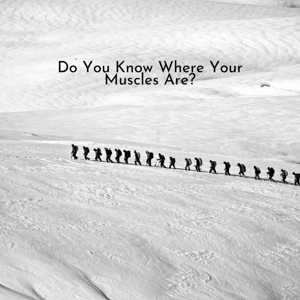 Awareness Model - Chiropractic First